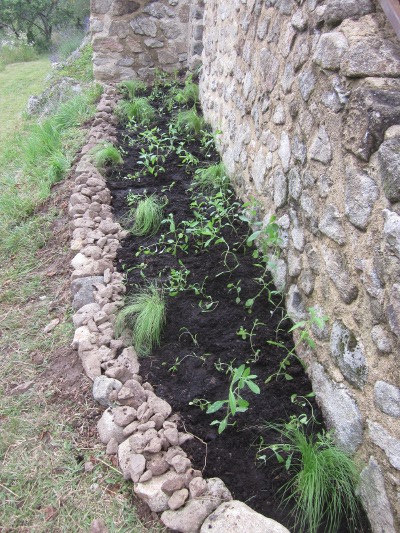 step-garden-planted-up - Lindy Sinclair
