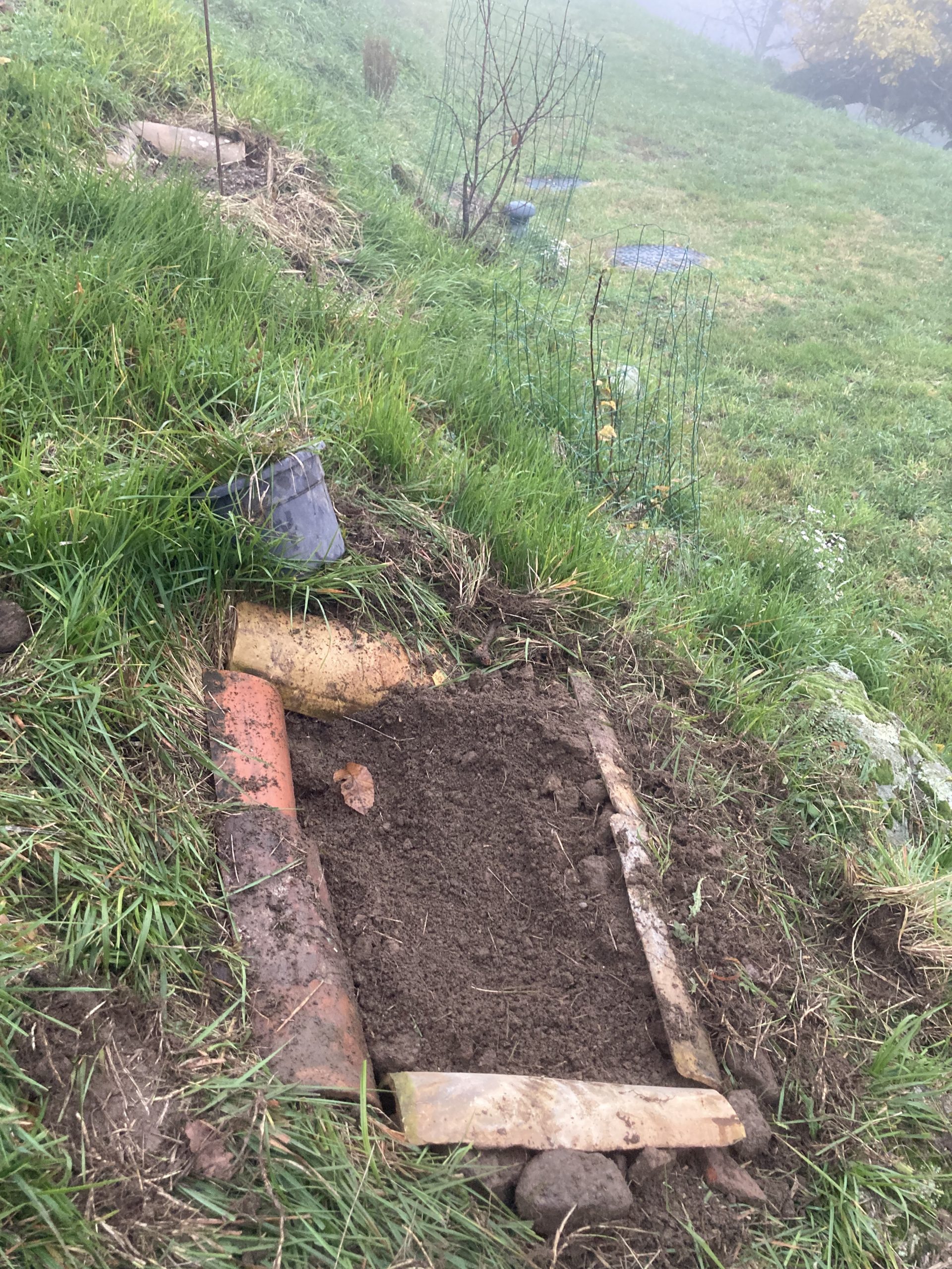 Winter tree planting part one - Lindy Sinclair