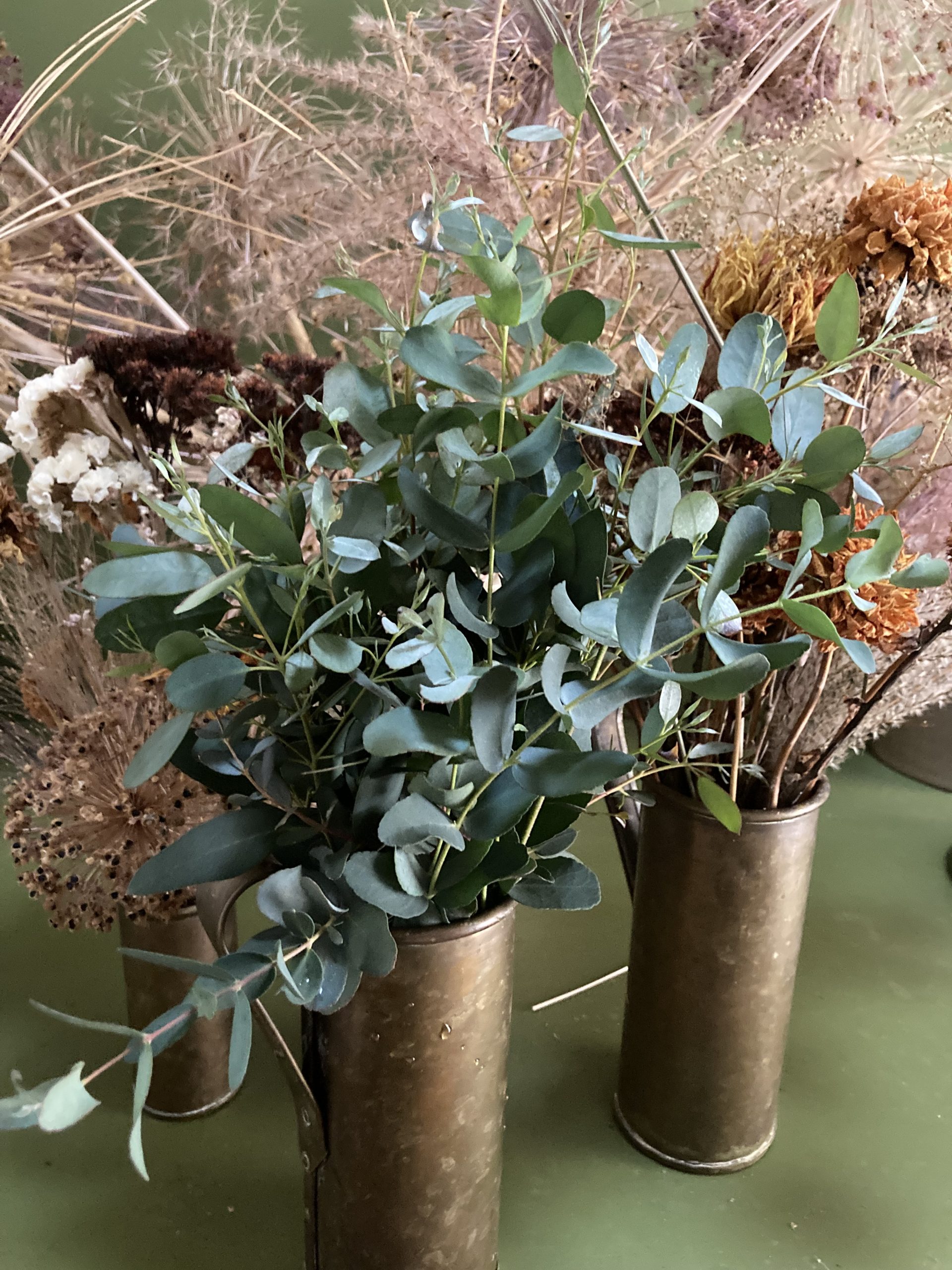 January flowers - Lindy Sinclair