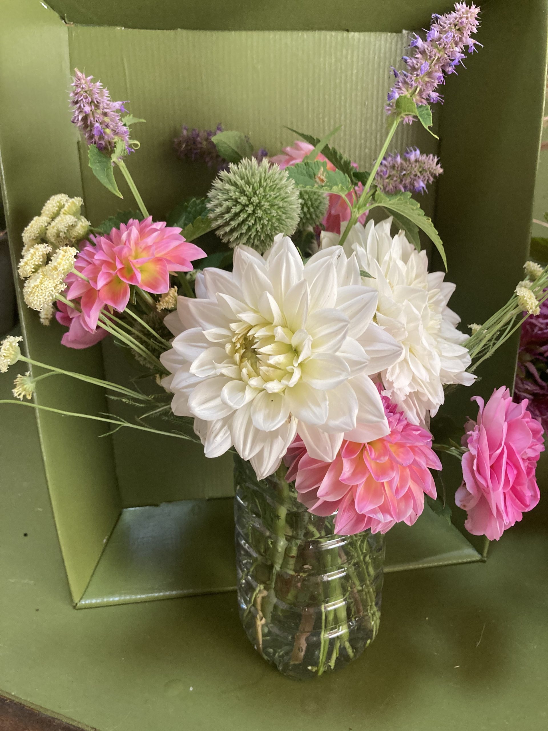 Early summer flowers - Lindy Sinclair